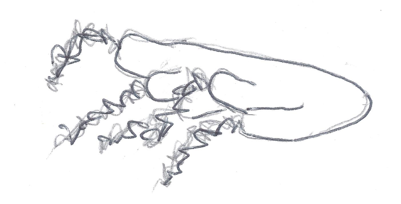 15 Step Instructions To Make An Ohmu (From Nausicaa of the Valley of ...